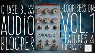 Chase Bliss Audio Blooper - What To Know & Where To Buy | Equipboard