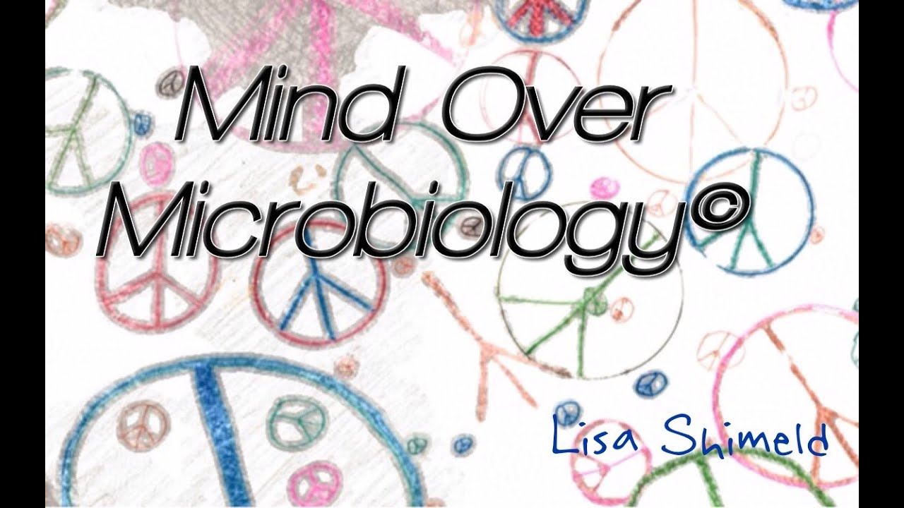 Lecture: Part 2 - Classification of the Prokaryotes (Taxonomy)