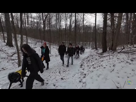 King's Forest Walk on Family Day 2024 | Hamilton, Ontario, Canada