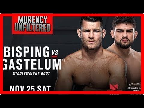 Preview: ufc fight night 122 ‘bisping vs. gastelum’ - bisping vs. gastelum.