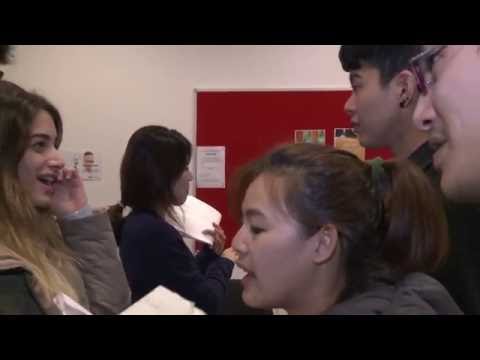 Universal Institute of Technology Overview