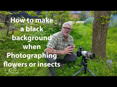 How to make a black background when Photographing flowers or insects