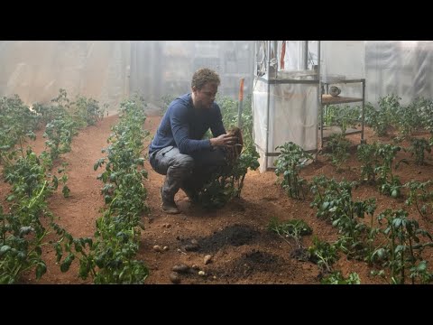 An Astronaut Becomes Stranded On Mars, He Grow Potato Using His Poop And Drink Urine To Survive.