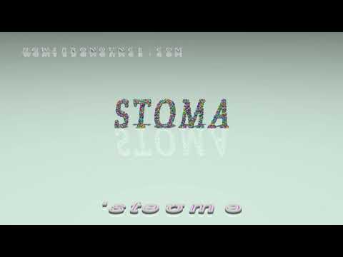 stoma - pronunciation + Examples in sentences and phrases