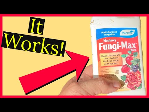 Monterey LG3216 Fungi-Max Brand Concentrate Multi-Purpose Lawn & Garden Fungicide, 16 oz