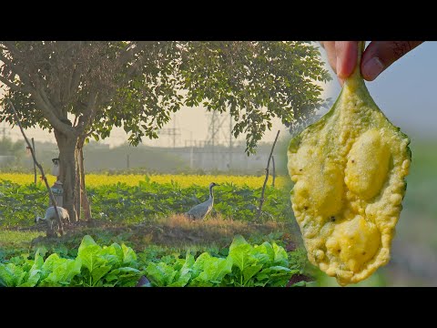 The Life of Spinach, Fried, Boiled or Curried, It always Taste Batter