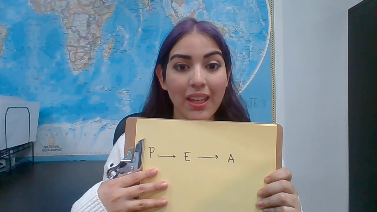 Pensamiento - Emoción - Acción: Terapia Cognitivo Conductual