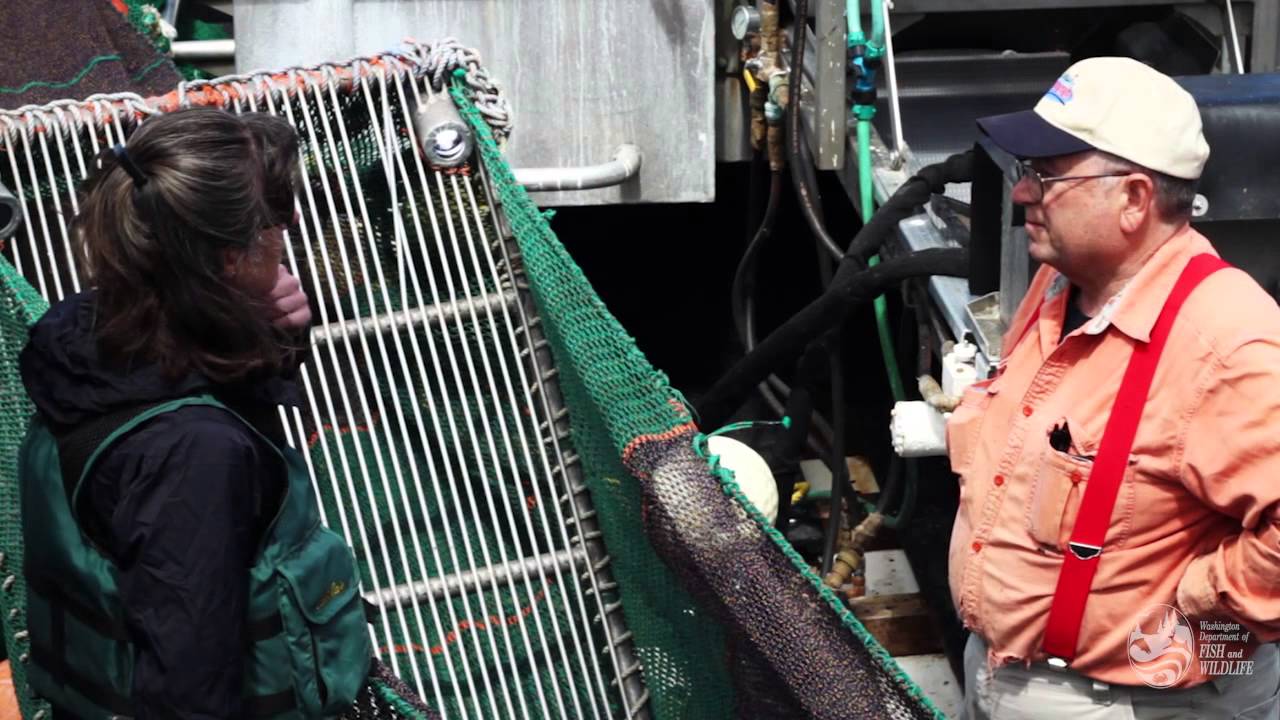 Evaluating bycatch in the Washington Shrimp Trawl Fishery