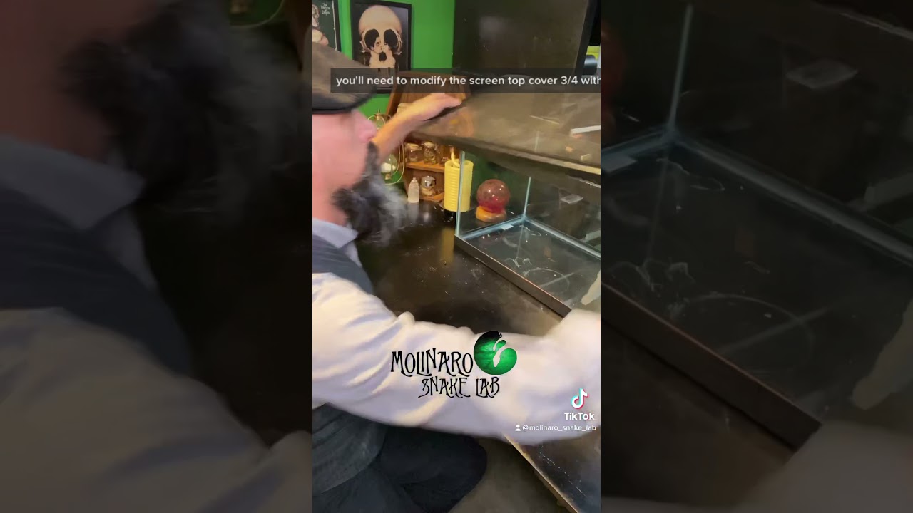 Enclosure Modification to Help Maintain Ball Python Humidity