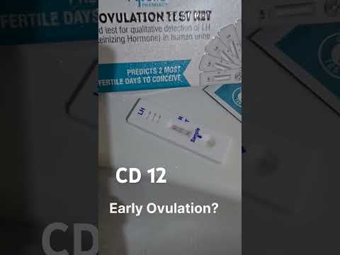 TTC #2 | CD 12 | Ovulation kit | LH test | Early Ovulation | 03 Oct 2024 | Baby Bump #ttcjourney