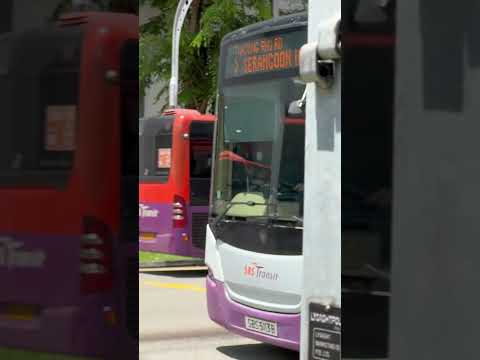 Scania K230UB SBS5113B SBS Transit Bus service 158 to Serangoon Interchange