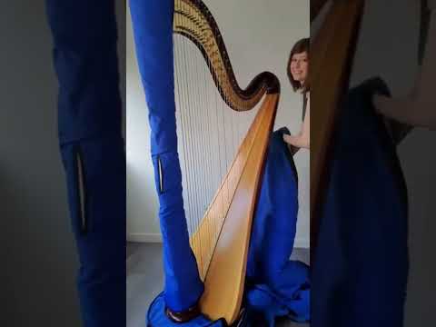 How I move the harp #shorts