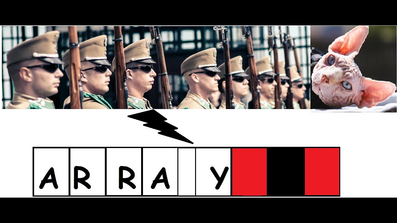 Arrays in Programming