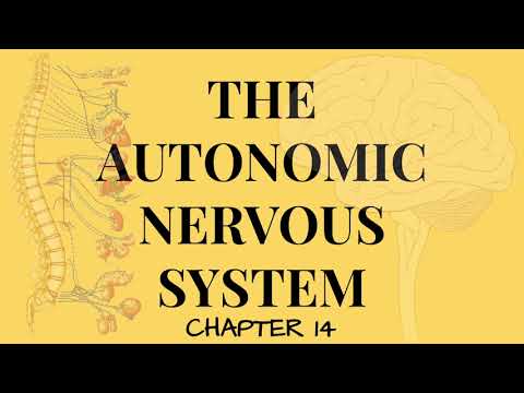 Chapter 14 The Autonomic Nervous System FULL Lecture