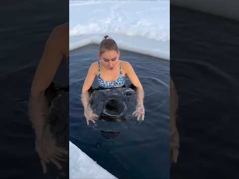Ice Instagram || #ice #icequeen #underwater #iceaddict #swim #shorts