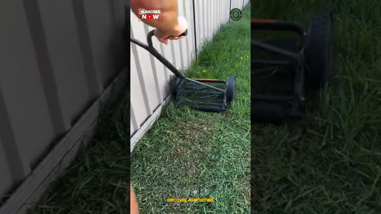 Manual Lawn Grass Trimmer Tool