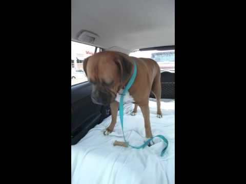 Pals sudden service gave him a treat