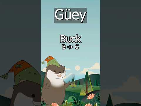 Wey in Mexican Spanish Explained!!!