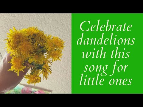 Celebrate dandelions with this song for little ones