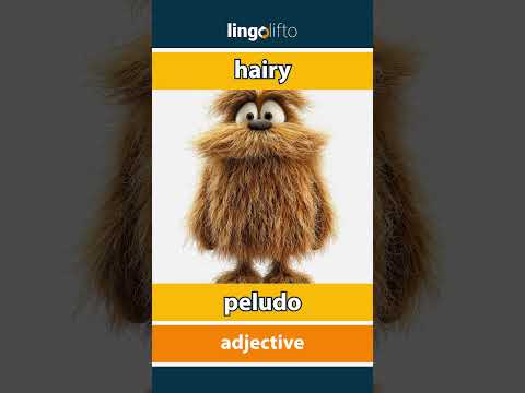 🇬🇧🇪🇸 hairy - peludo : learn English : aprendamos inglés : vocabulary builder