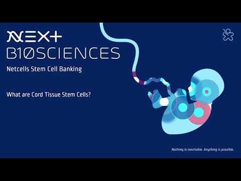 What are Cord Tissue Stem Cells?