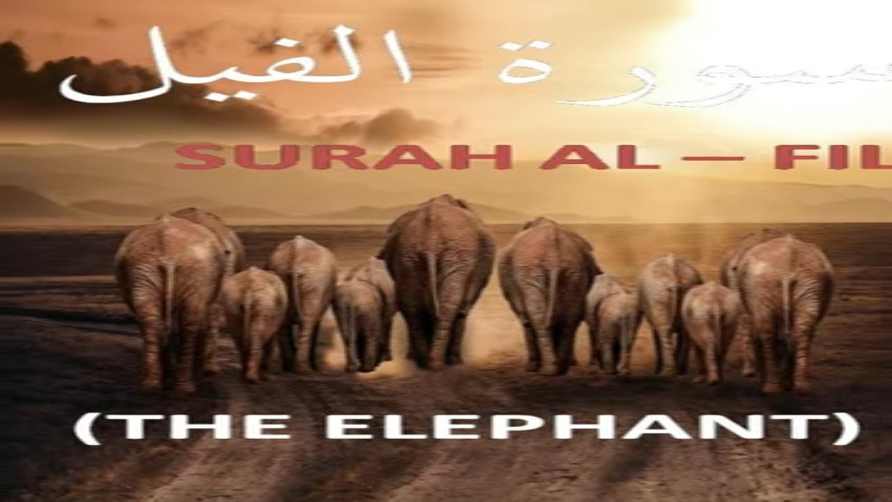 Surah Al Fil AL Feel Alam tara kaifa faala rabbuka bi ashaabil