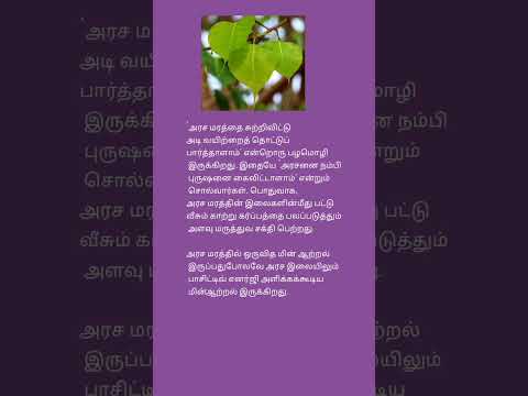 #peepaltree #shorts #அரசமரம்