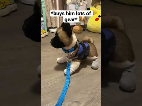 BRING THIS TREND TO YT! | more.than.t0ys | #essa #emotionalsupportstuffedanimal#toy#plush#funny#toys