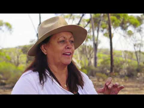 Tracing history to the Goldfields