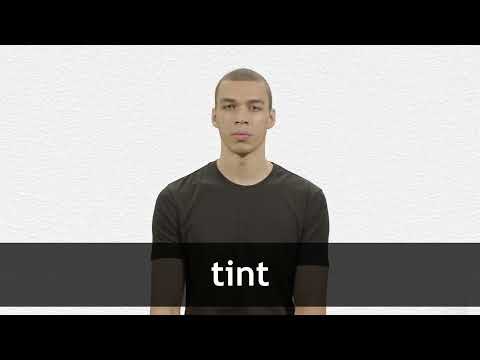 How to pronounce TINT in American English