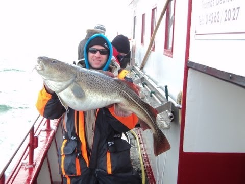 Dorschangeln im Februar 2011 Ms Einigkeit "Exitus-Fishing"
