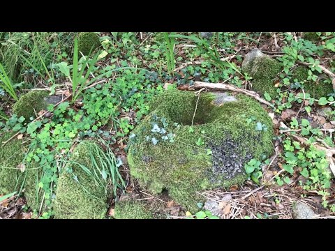 Culture and Folklore – Doochary Heritage Trail / Cosán Oidhreachta na ...