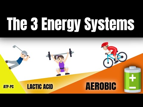 Learn the 3 Energy Systems! ATP-PC, Lactic Acid & Aerobic