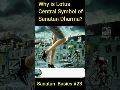 Why is Lotus Central Symbol of Sanatan Dharma #Sanatan Basics 23 #shortsfeed