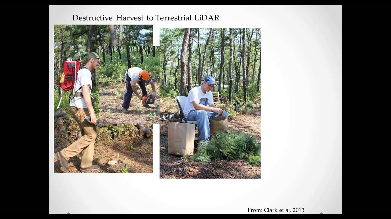 Estimating Canopy Bulk Density with LiDAR Data