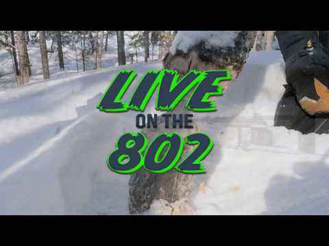 LIVE ON THE 802 - Fun Facts About Beavers