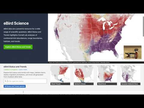 eBird Website Tutorial