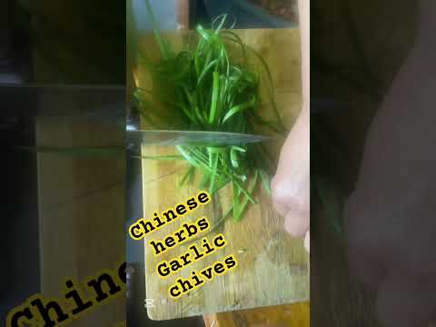 #Medicinal plant for brain