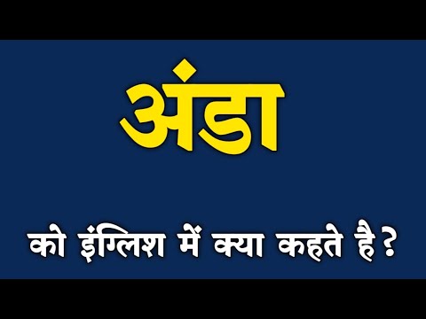 अंडा को इंग्लिश मे क्या कहते है|Anda meaning in english.What is Meaning of Anda. Vocabulary