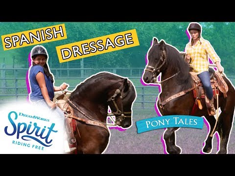 All About Spanish Dressage! | THAT'S THE SPIRIT