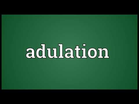 Adulation Meaning