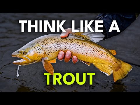 Everything to Know About Trout — Behavior & Identification 101 | Ep. 73