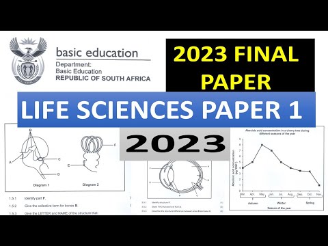 2023 MEMO LIFE SCIENCES GRADE 12 FINAL PAPER 1; THUNDERTEDUC BY M.SAIDI