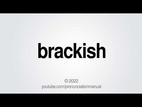 How to Pronounce Brackish.