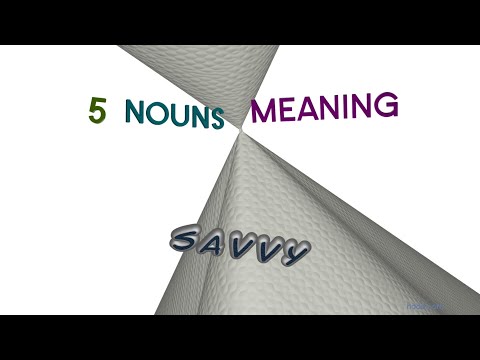 savvy - 5 nouns which mean savvy (sentence examples)