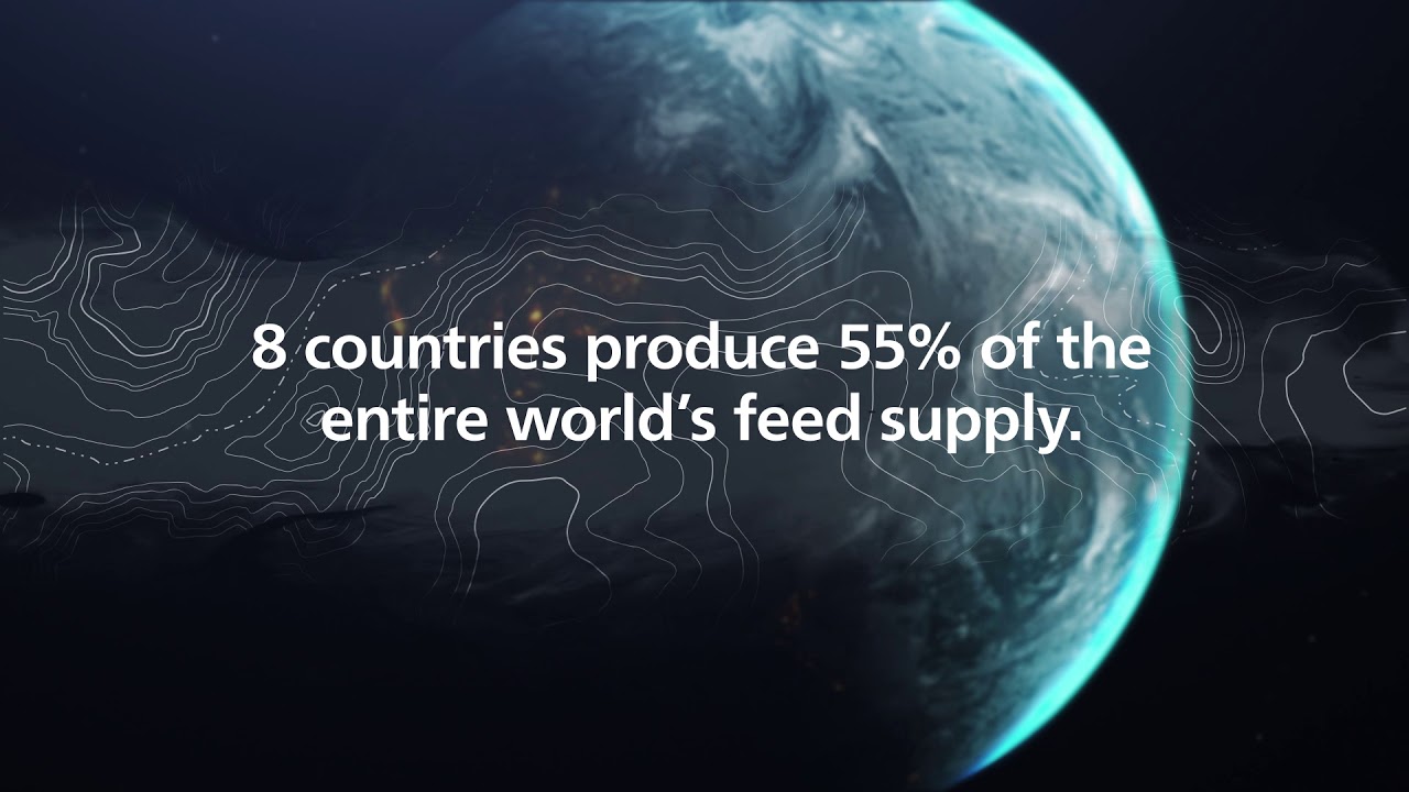 Alltech's 2019 Global Feed Survey promo