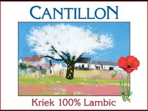 Cantillon Kriek Video Beer Review | San Diego Beer Vlog EP 398