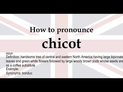 chicot