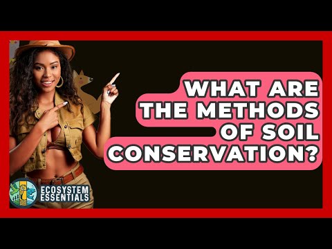 What Are The Methods Of Soil Conservation? - Ecosystem Essentials