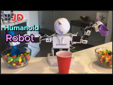 EZ-Robot JD Humanoid Robot, What is the JD robot program?